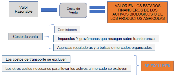 Vista de Tratamiento contable de los activos biológicos y los productos ...